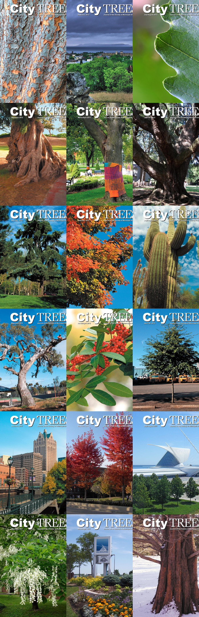 City TREES 2013-2011