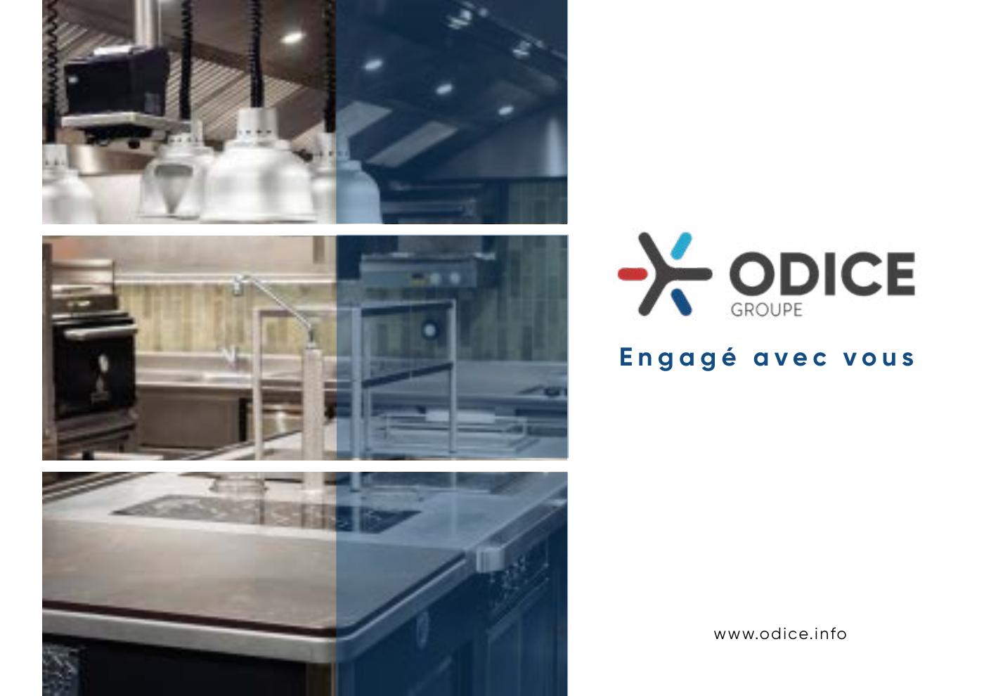 GROUPE ODICE | PDF to Flipbook