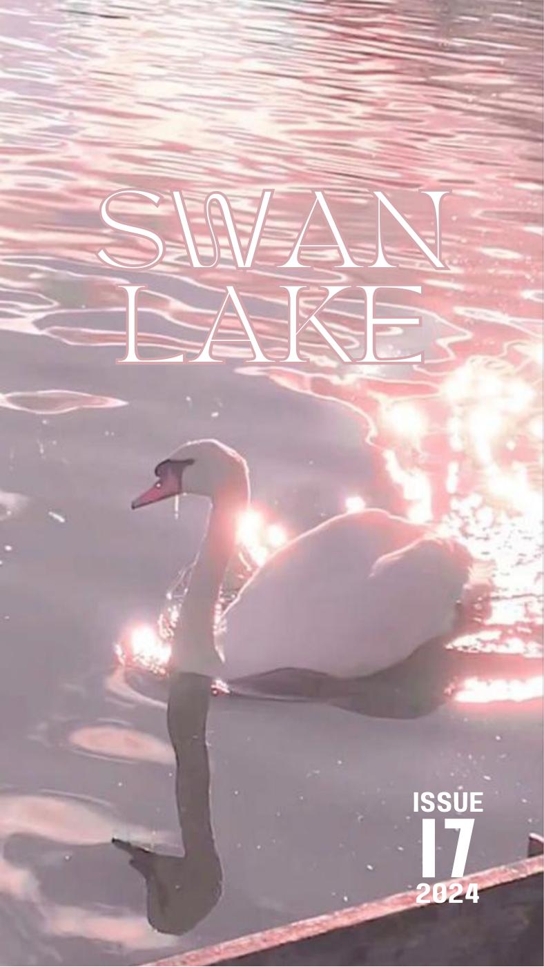 17 SWAN LAKE