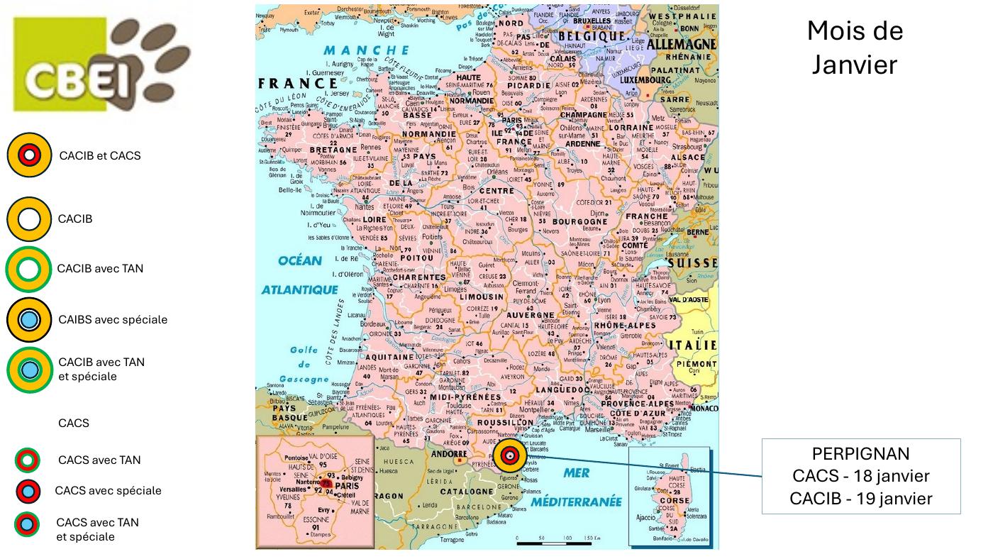 CACIB ET CACS 2025