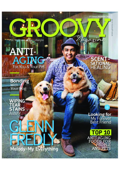 #2 GROOVY MAGAZINE