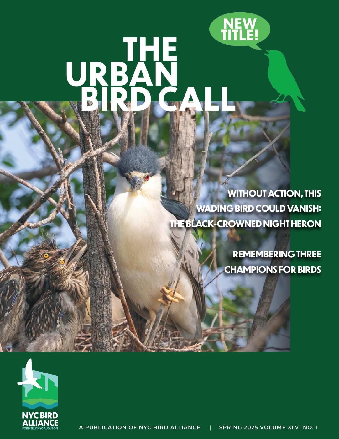 The Urban Bird Call Spring 2025 | PDF to Flipbook