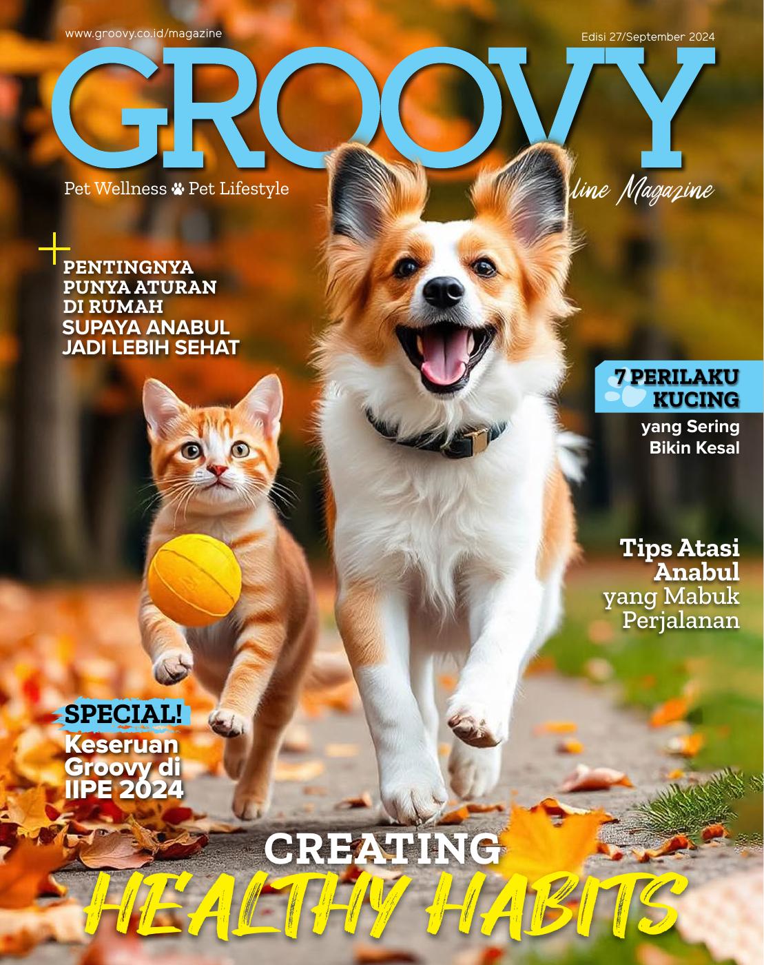 #27 GROOVY MAGAZINE