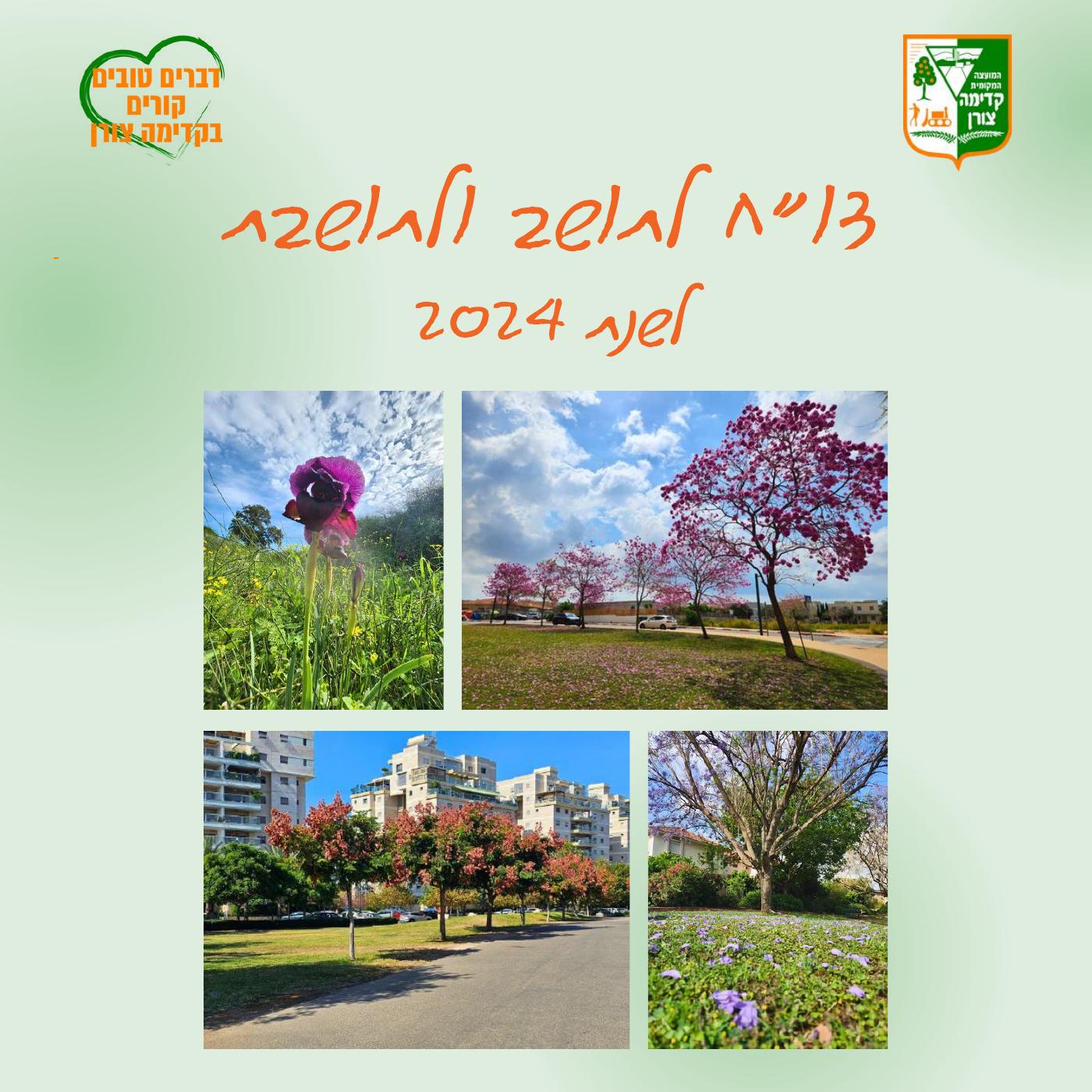 מועצה מקומית קדימה-צורן - דו״ח לתושב 2024 | PDF to Flipbook