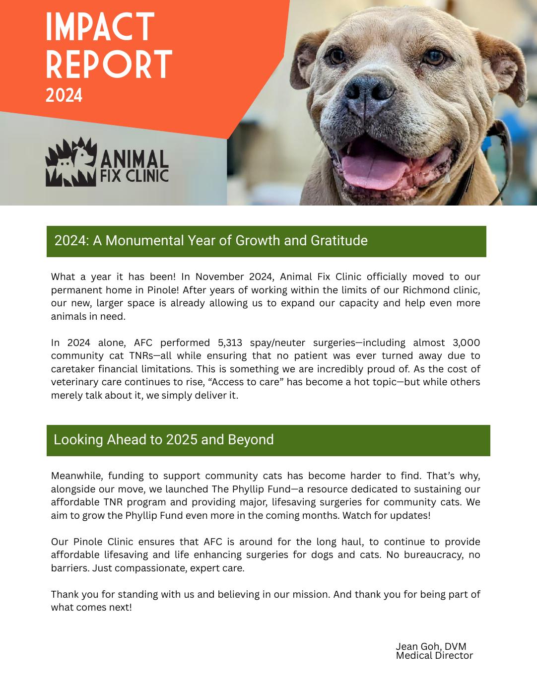 AFC Impact Report 2024 | PDF to Flipbook