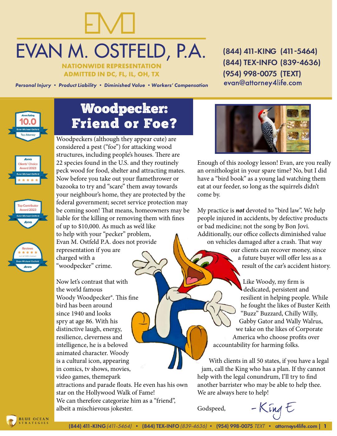 Evan Ostfeld P.A. Newsletter November 2024