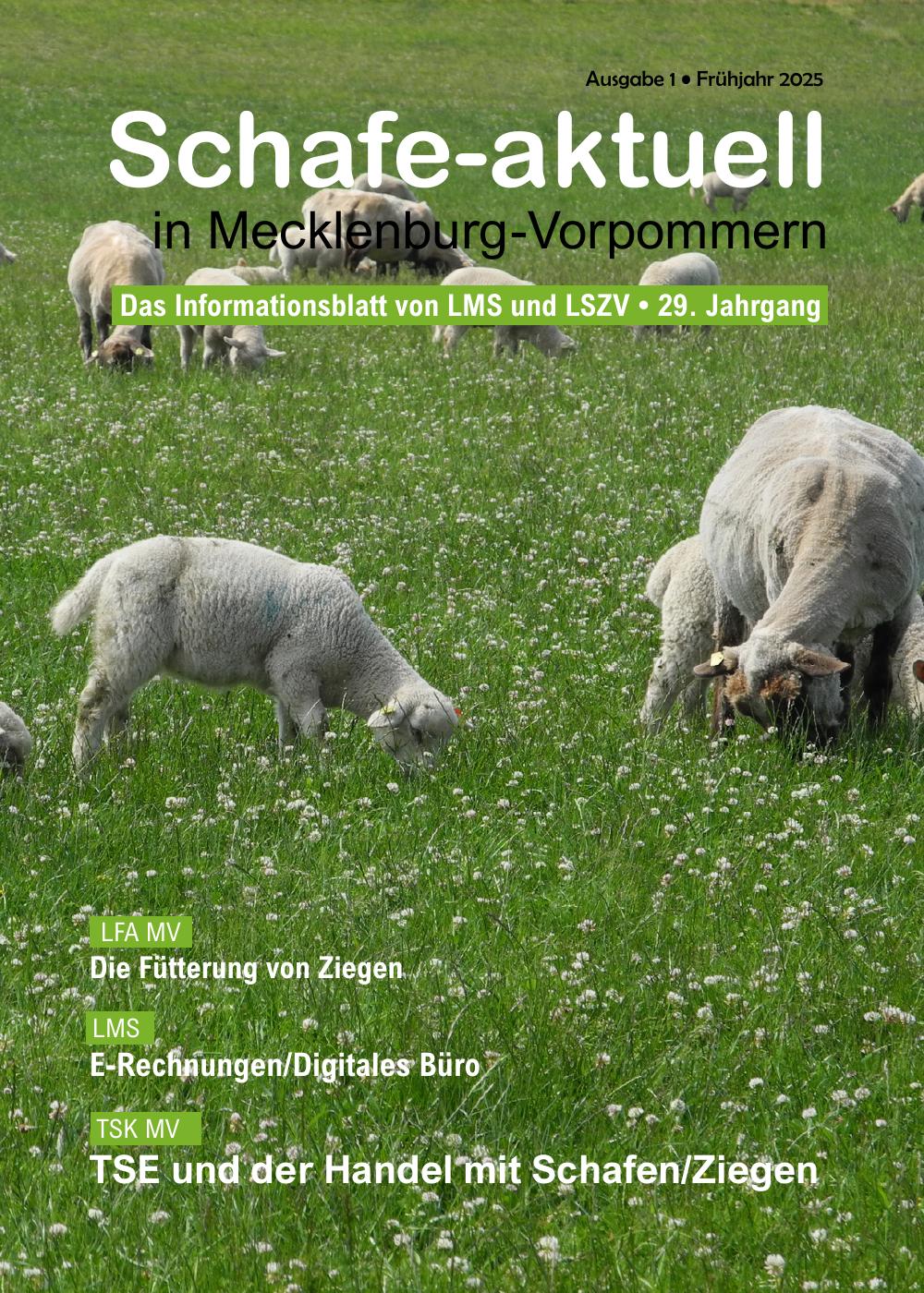 Schafe-aktuell Frühjahr 2025