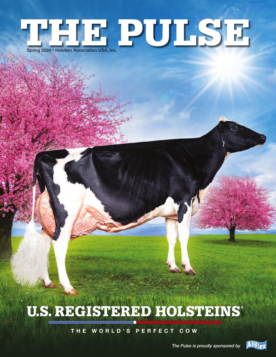 The Pulse - Spring 2024 - Select