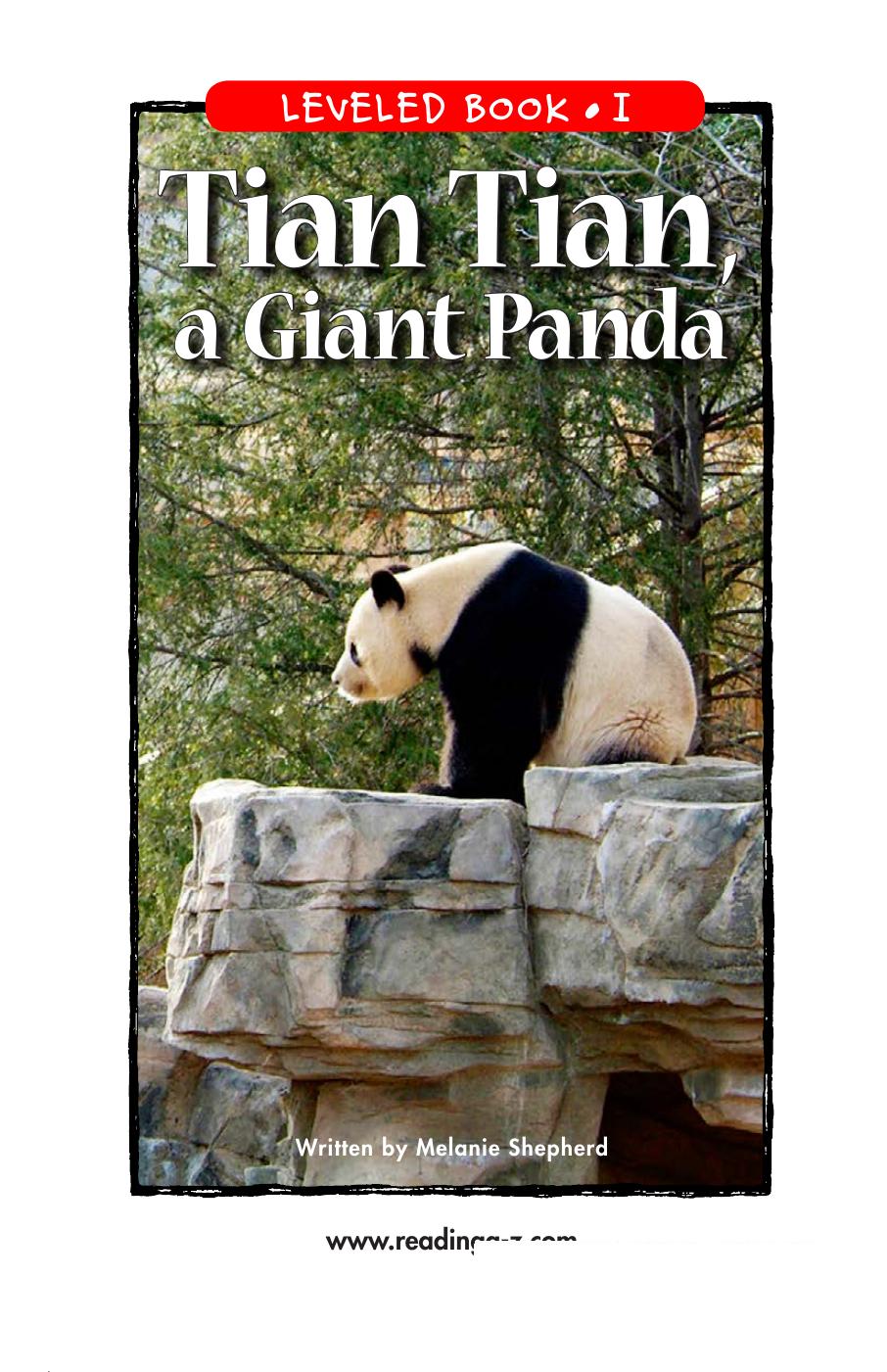 29. Tian Tian, a Giant Panda