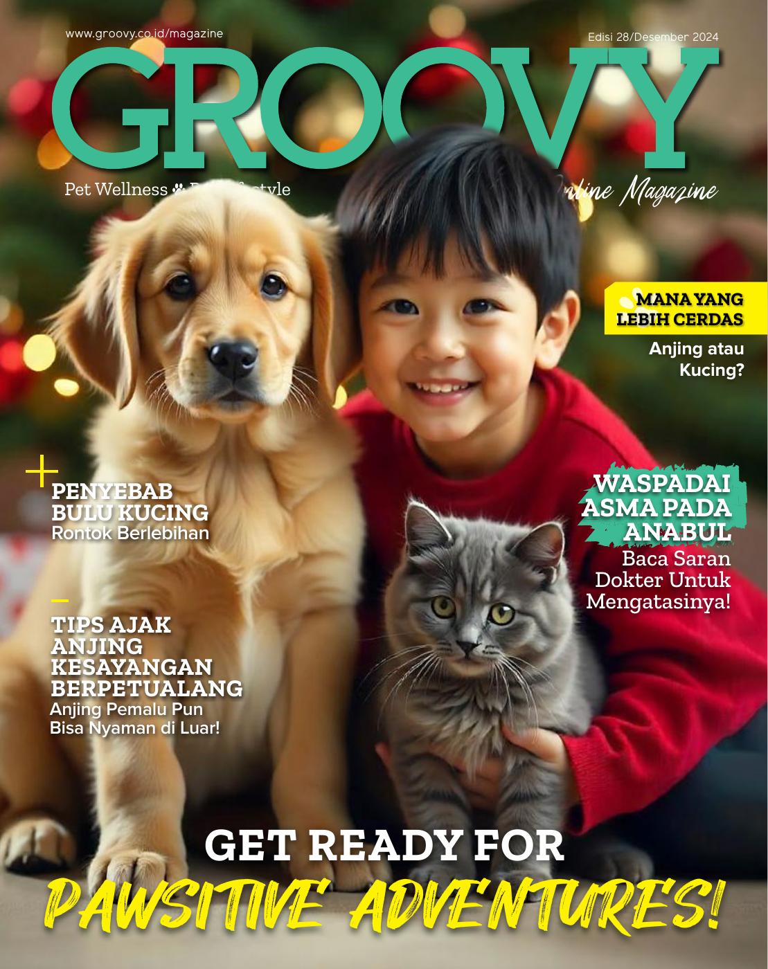 #28 GROOVY MAGAZINE