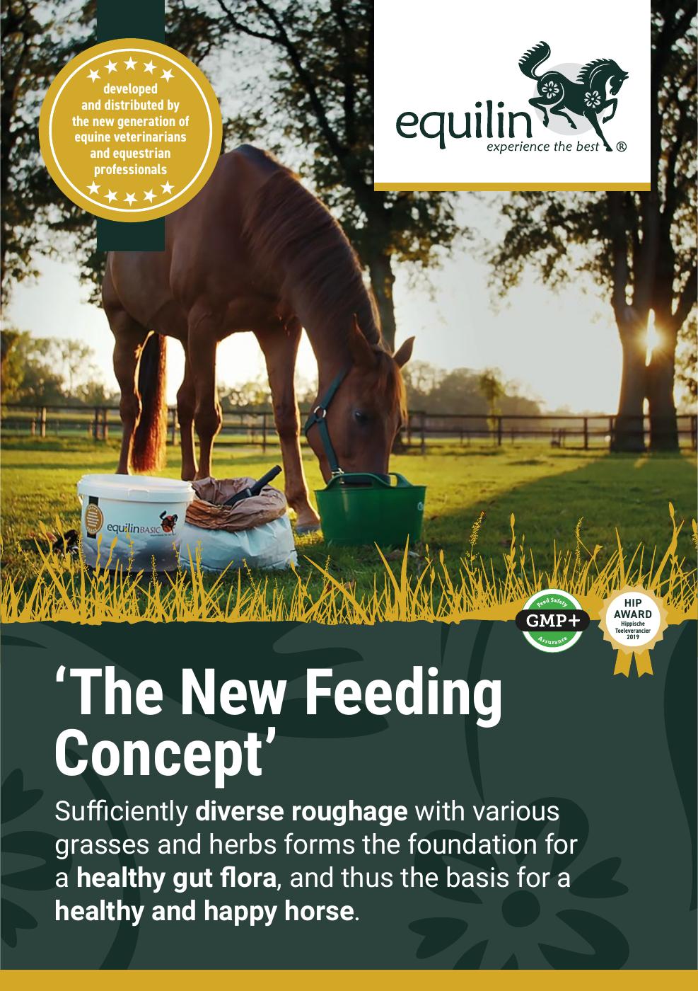 Online Equilin Brochure ENG