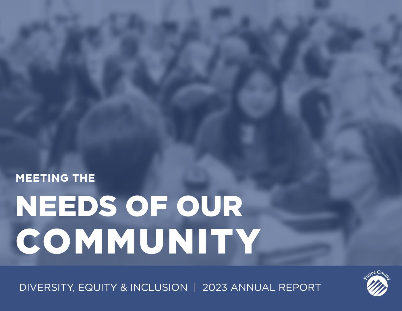 2023 DEI Annual Report
