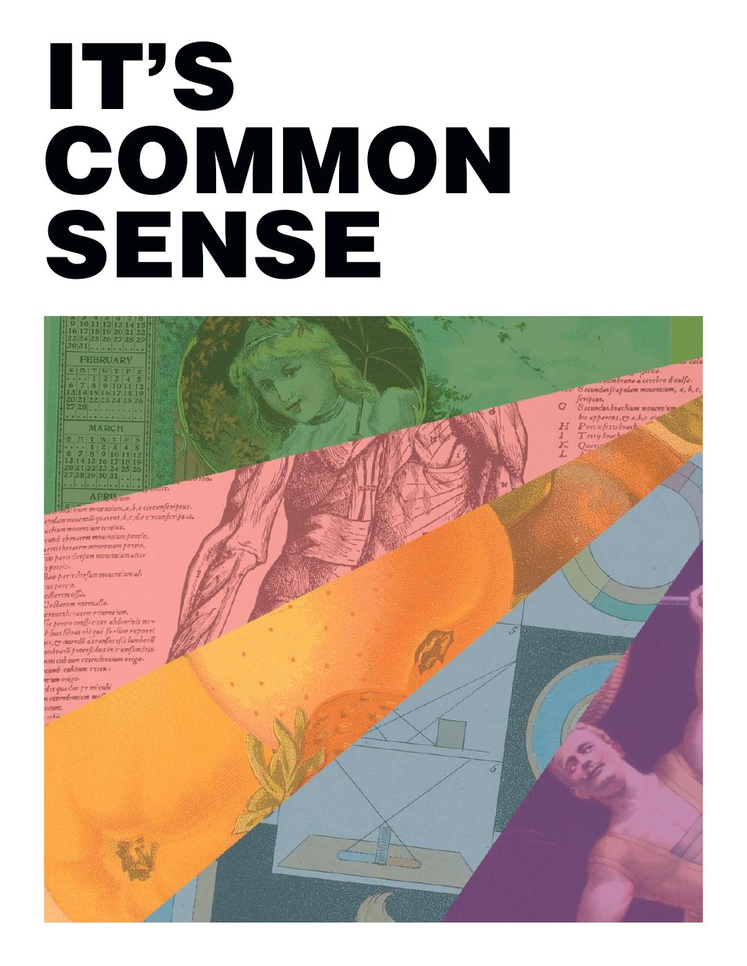 It's Common Sense | PDF to Flipbook