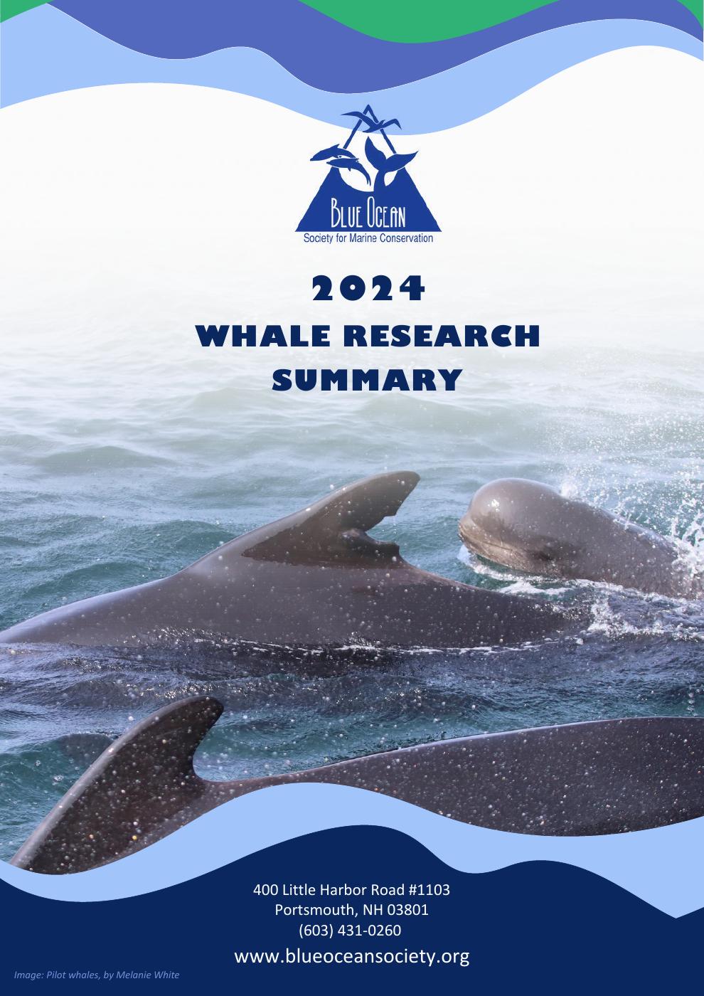 2024 Blue Ocean Society Whale Research Summary | PDF to Flipbook