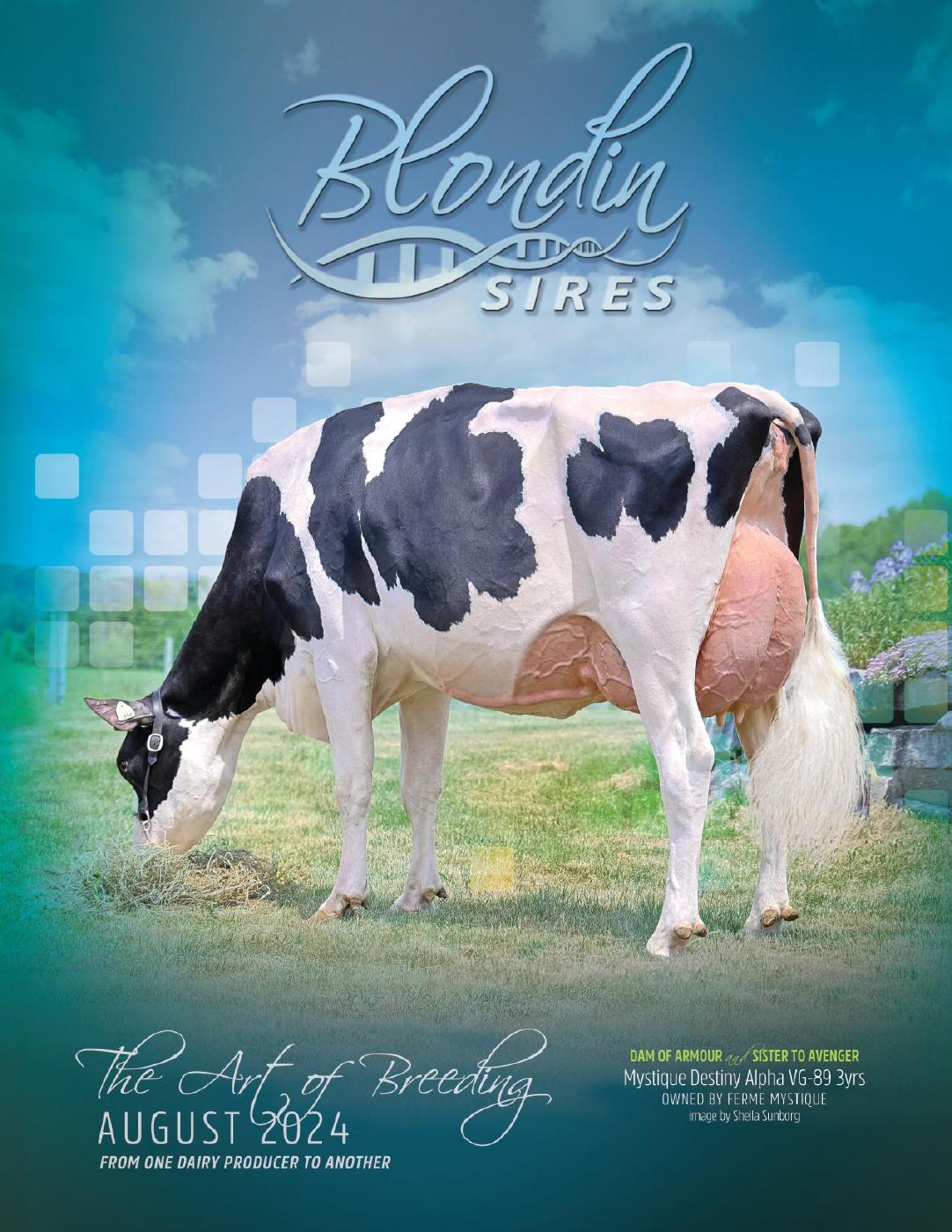 Blondin Sires Catalogue - August 2024