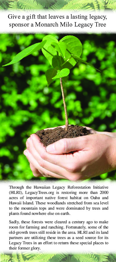 Milo Legacy Tree Brochure