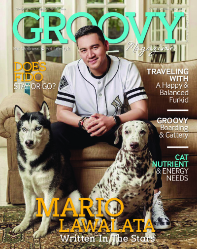 #6 GROOVY MAGAZINE