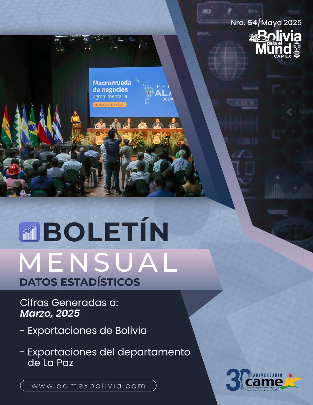 Boletín Estadístico N°54 | PDF to Flipbook