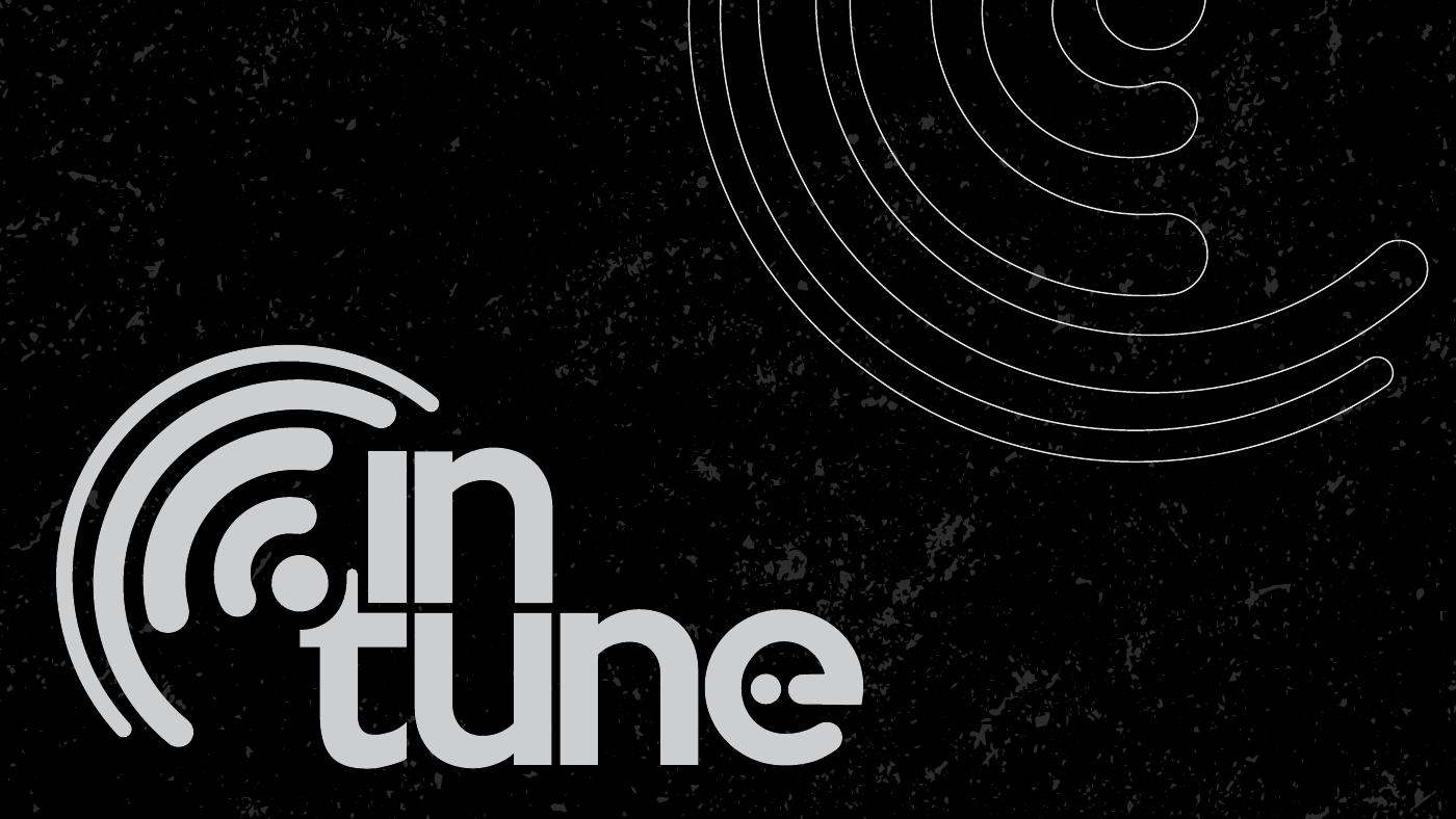 InTune Brand Guidelines | PDF to Flipbook