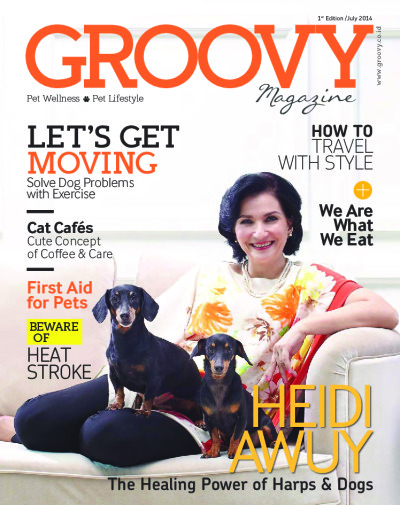 #1 GROOVY MAGAZINE