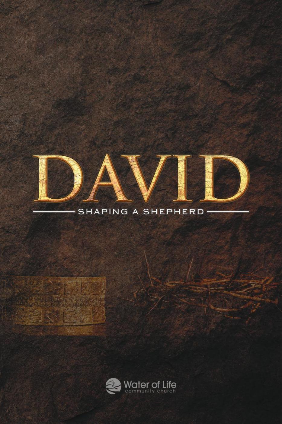 David Study Guide