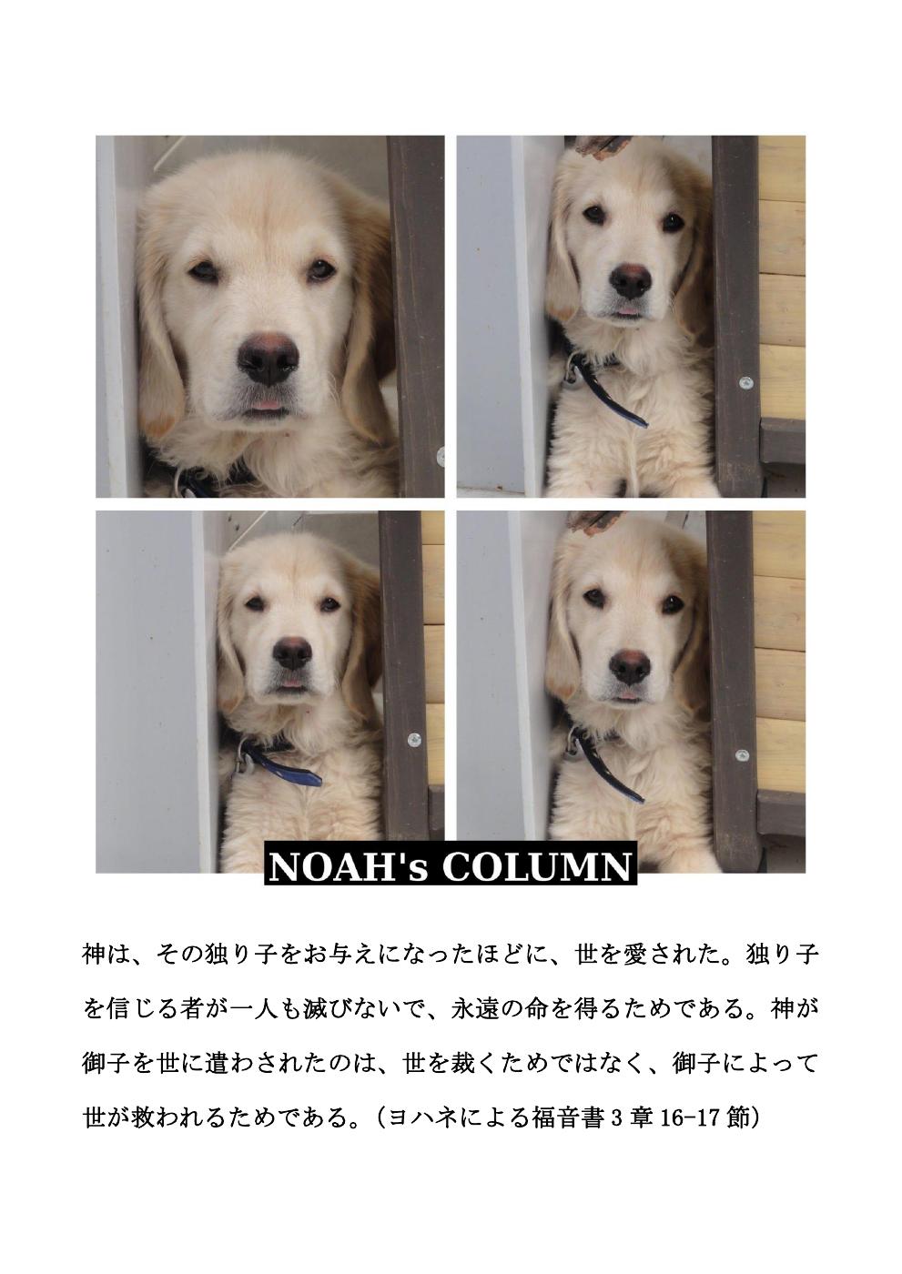 NOAH's COLUMN | PDF to Flipbook