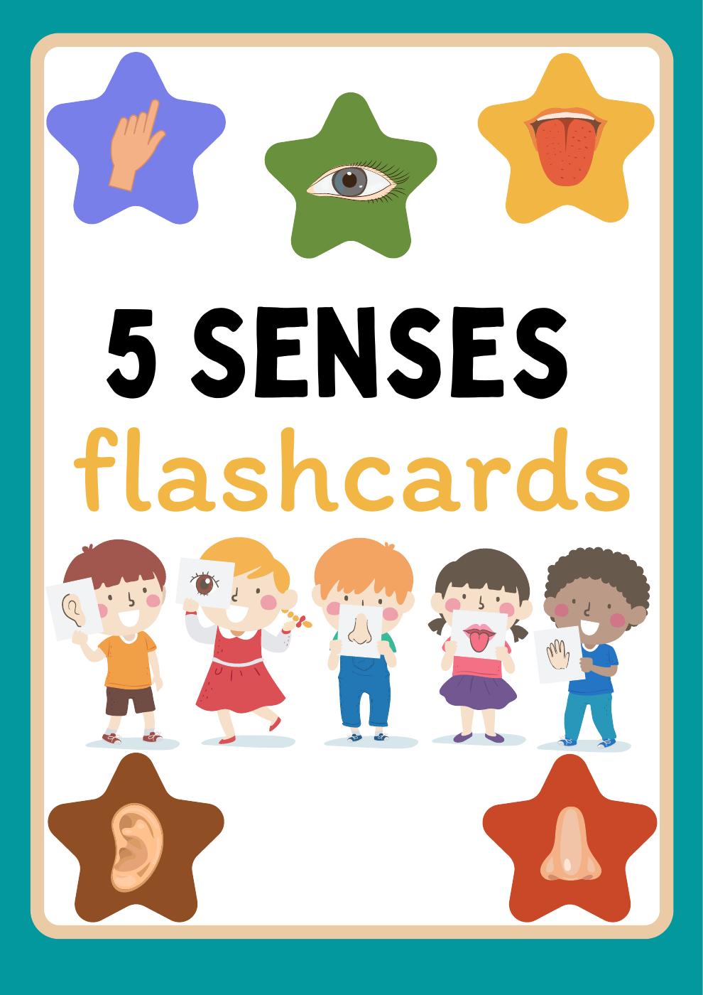 The Five Senses Flashcards
