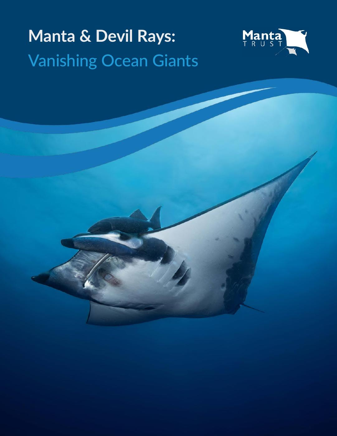 Manta and Devil Rays