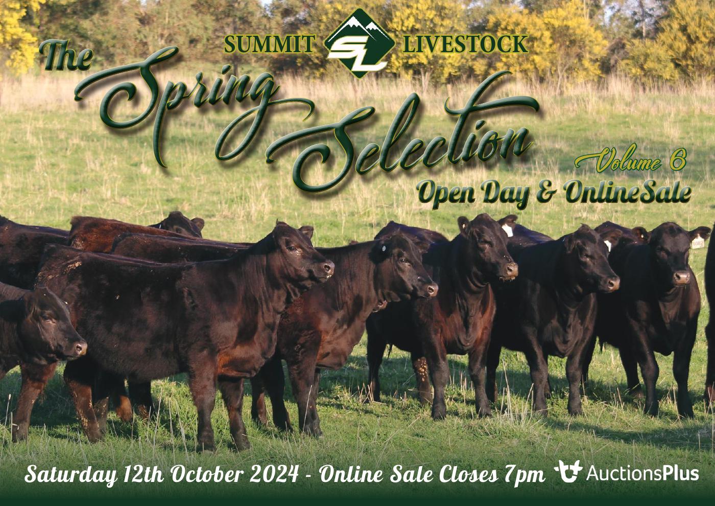 The Spring Selection Sale - vol. 6 | PDF to Flipbook