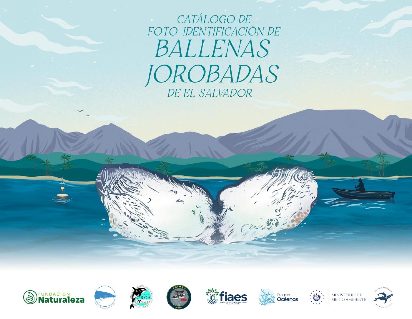 Catálogo de foto-identificación de ballenas jorobadas en El Salvador. | PDF to Flipbook