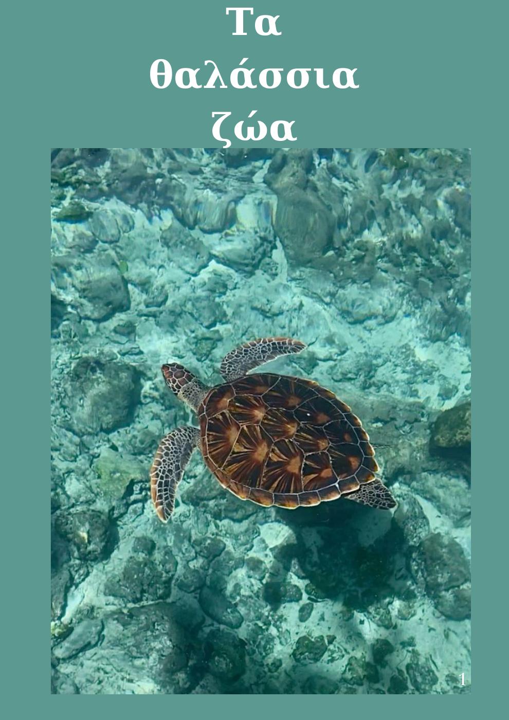 Τα θαλάσσια ζώα | PDF to Flipbook