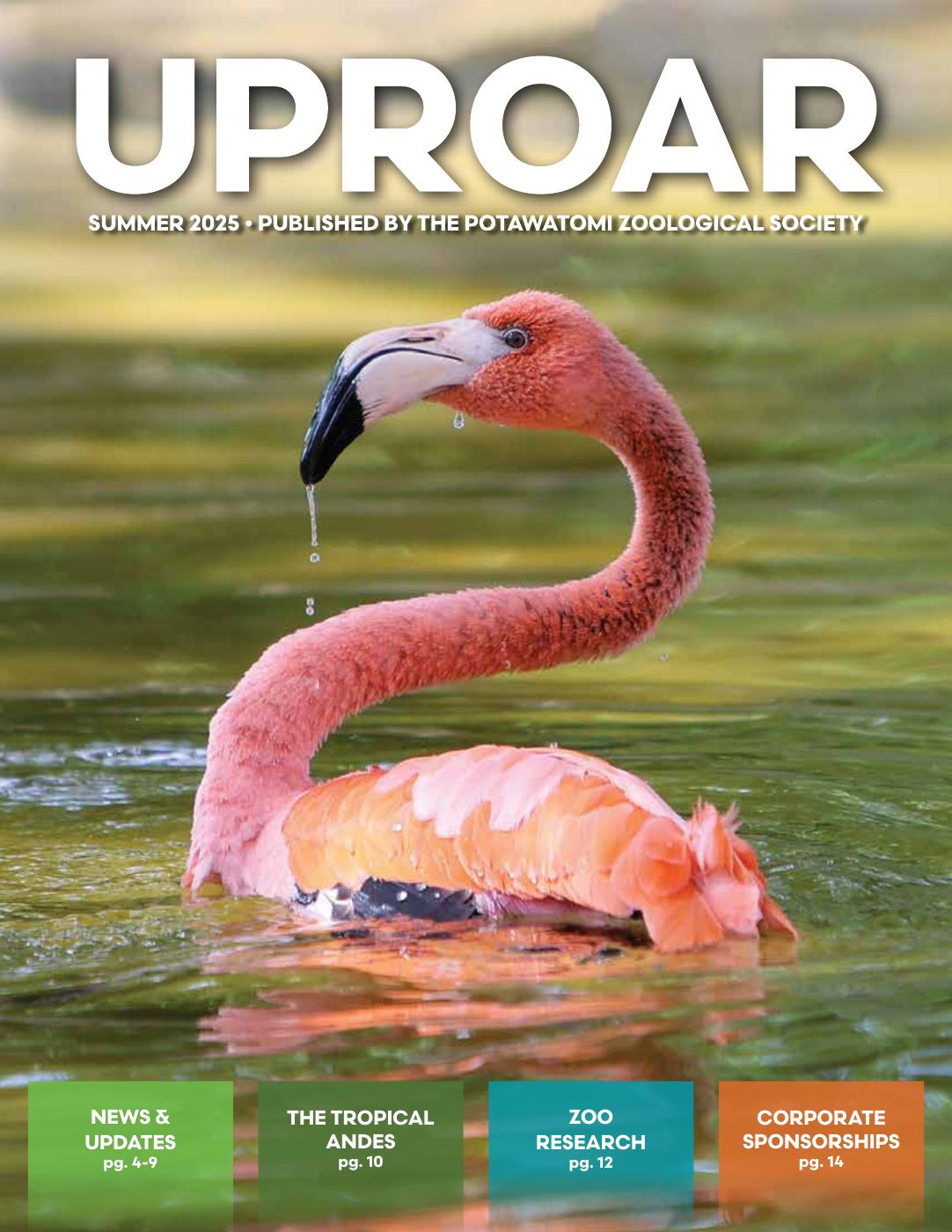 UPROAR, Summer 2025 | PDF to Flipbook