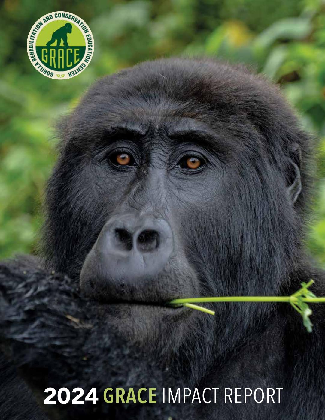 2024 GRACE Impact Report | PDF to Flipbook