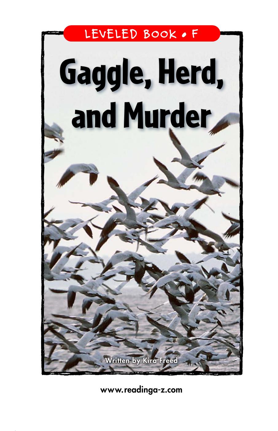 31. Gaggle, Herd, and Murder