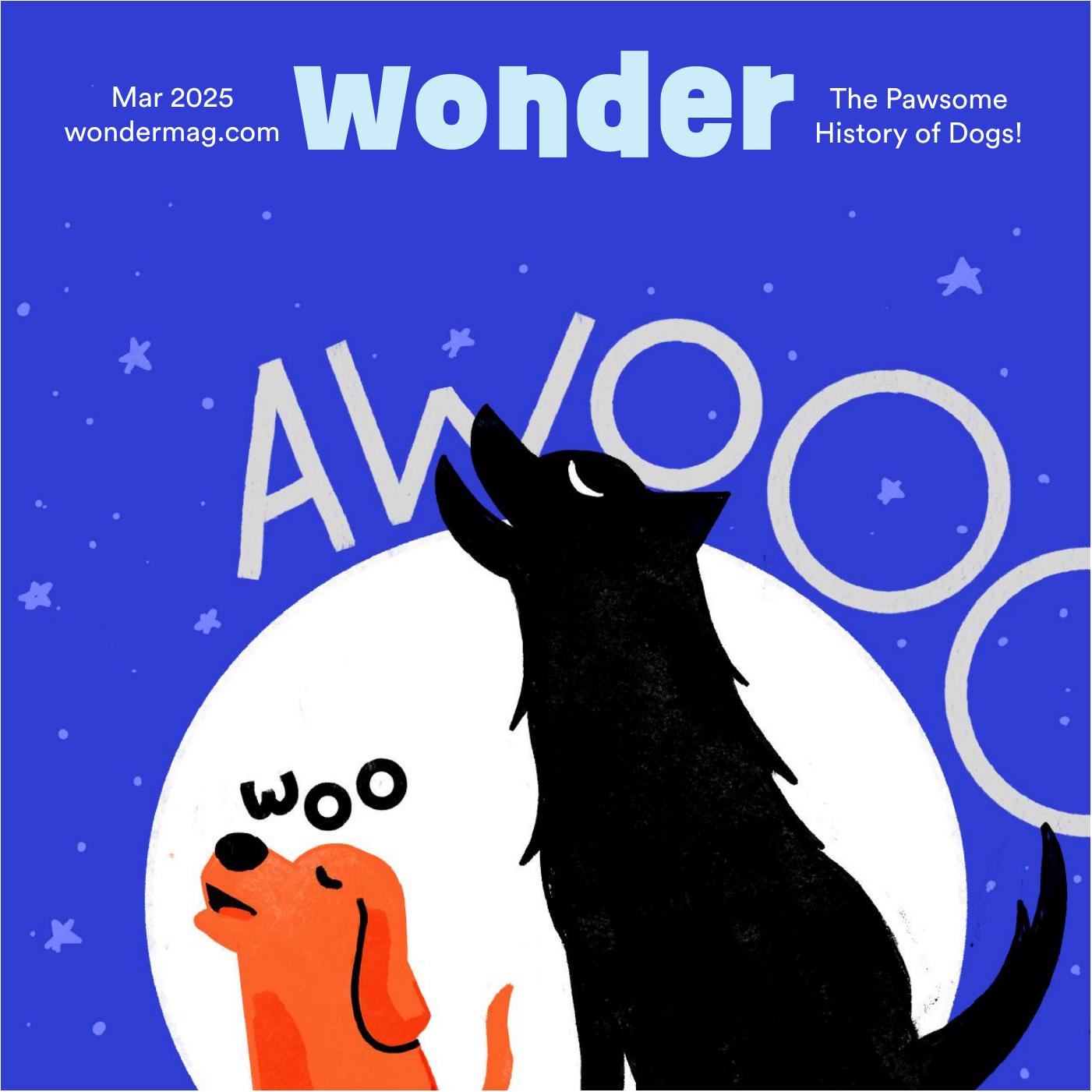 Wonder magazine | PDF to Flipbook