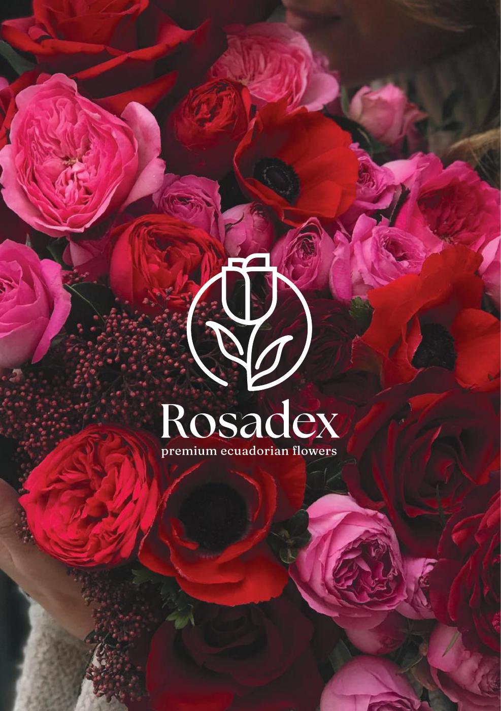 Rosadex- Catalog | PDF to Flipbook