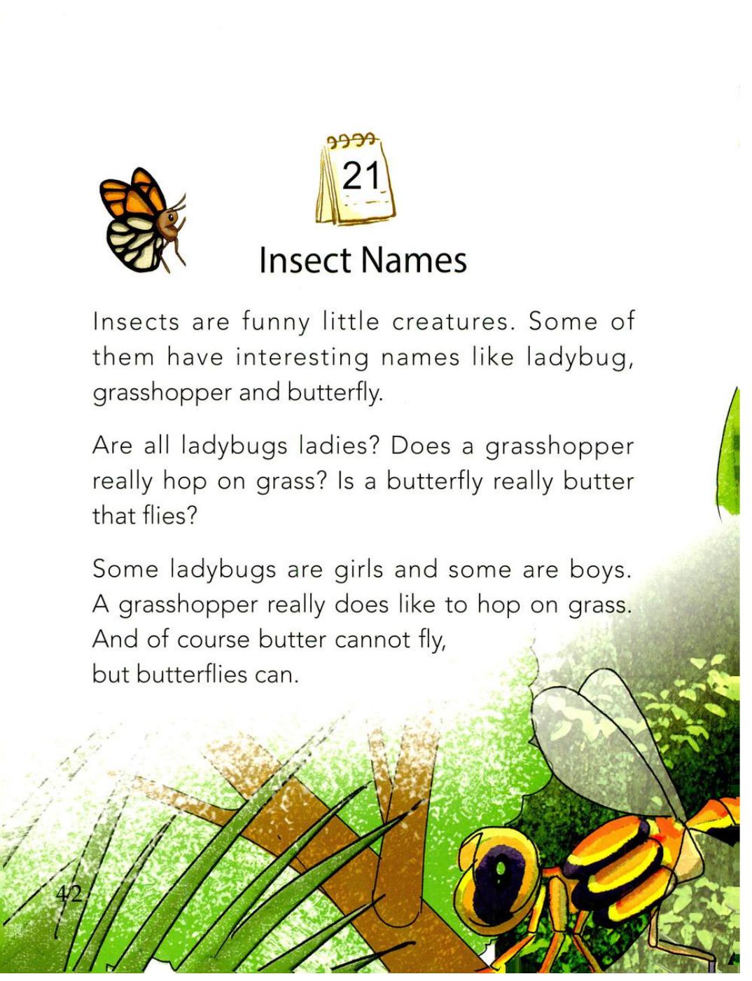 7.21 Insect Names