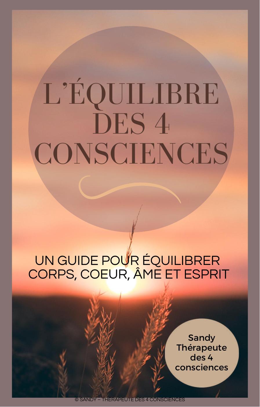 L'équilibre des 4 consciences | PDF to Flipbook