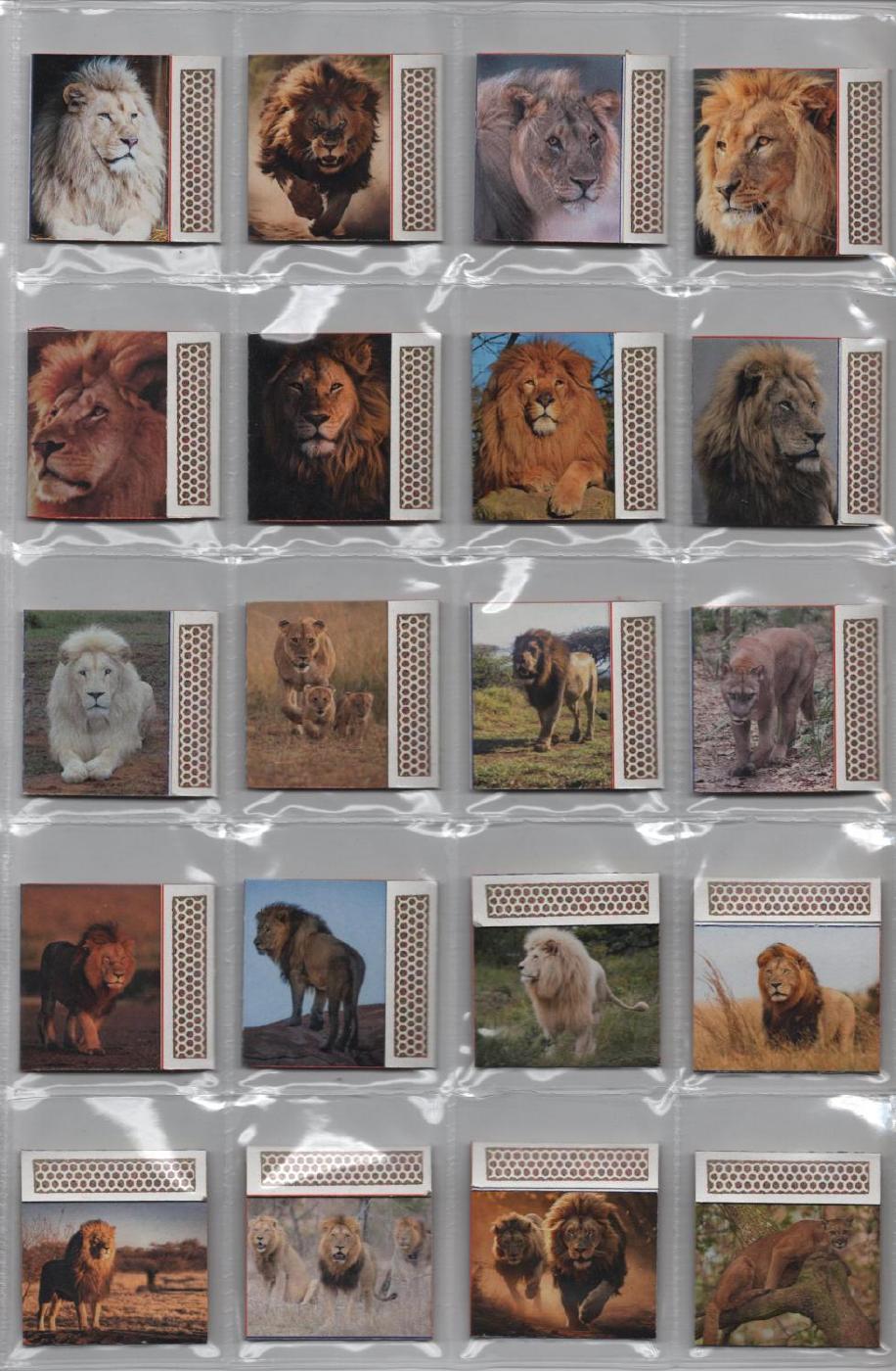 Animal Collection | PDF to Flipbook