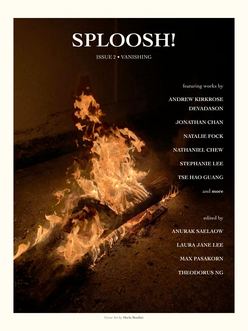 sploosh! Issue 2: Vanishing | PDF to Flipbook