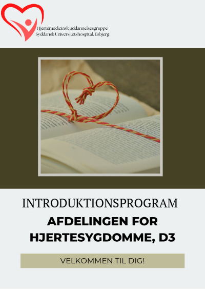 Introduktionsprogram D3