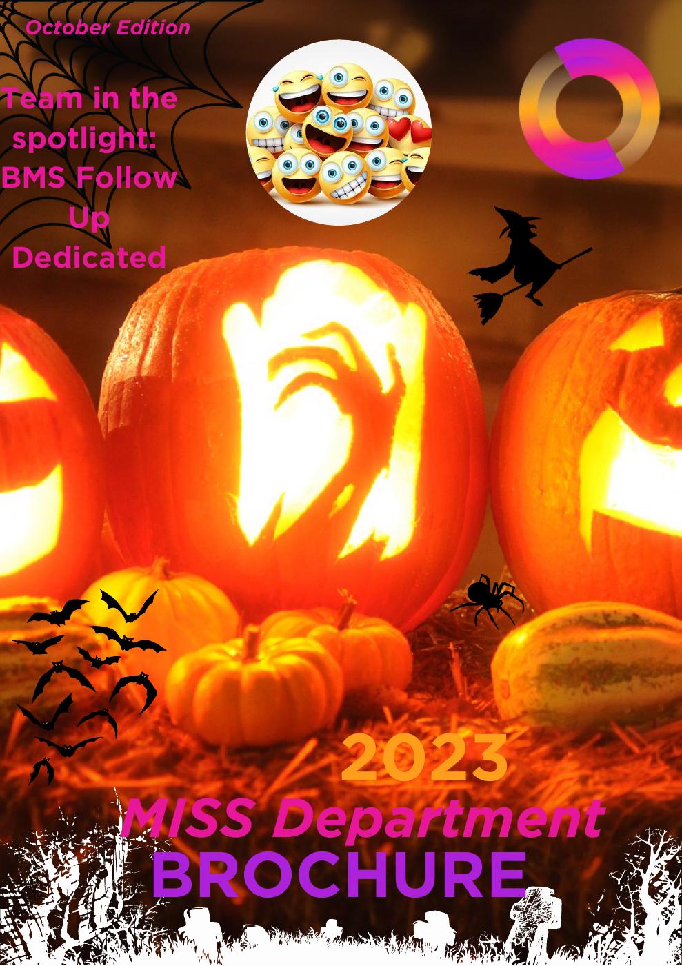 MISS Department Brochure - BMS