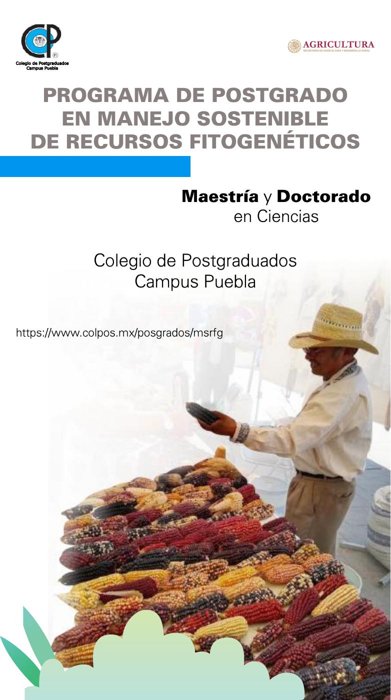 POSTGRADO | PDF to Flipbook