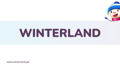 Winterland Flipbook