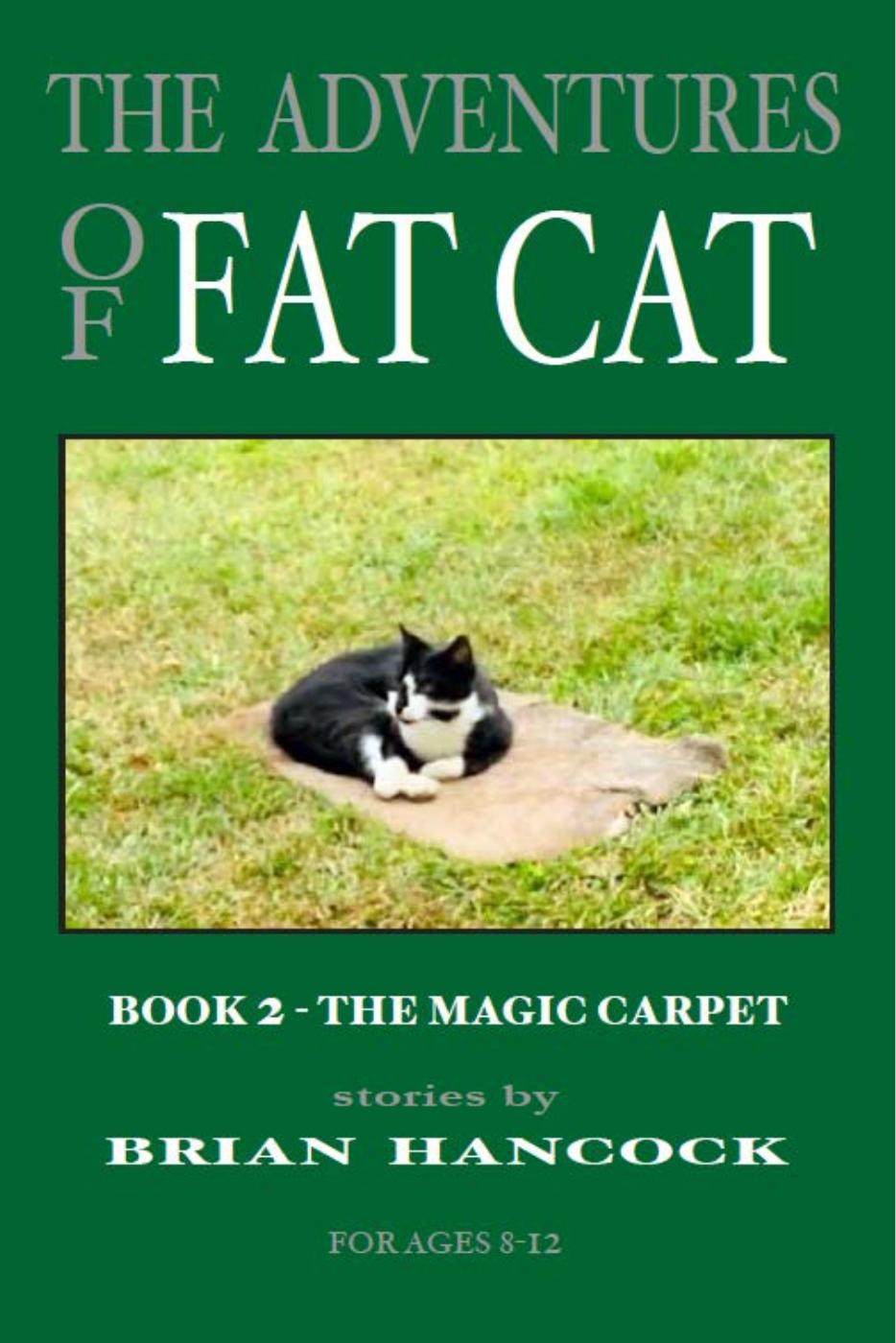 The Adventures Of Fat Cat the-adventures-of-fat-cat