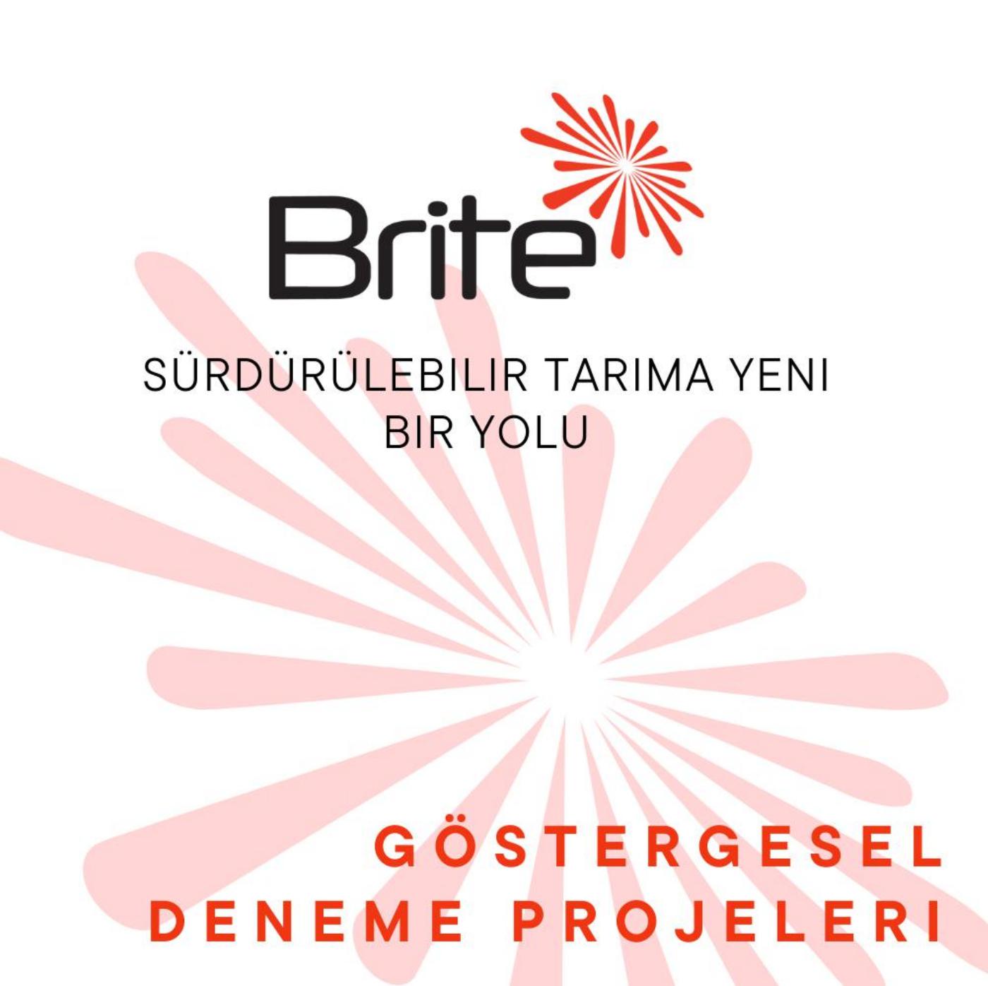 Brite - Projects (Tr)