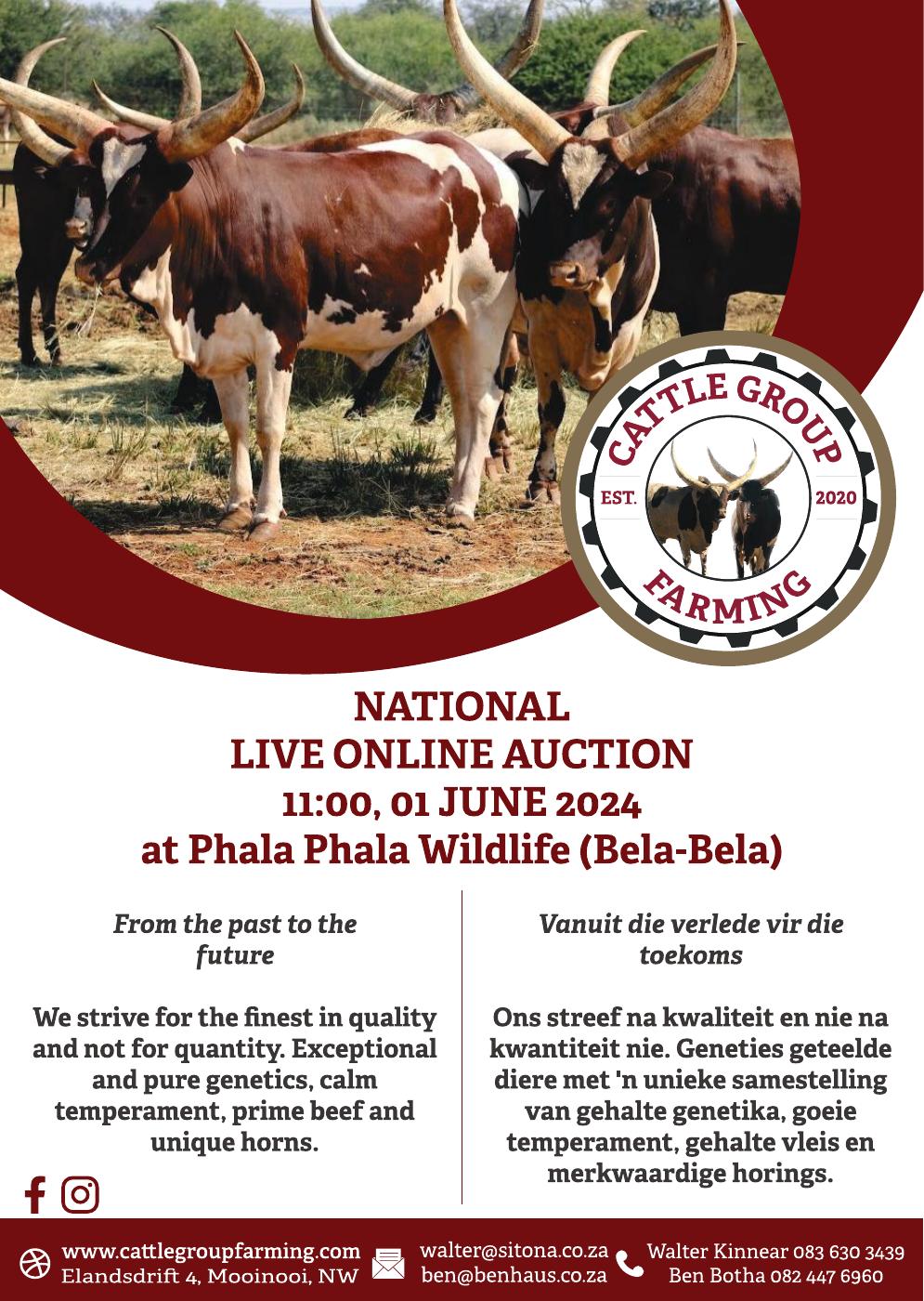 Cattle Group Farming | PDF to Flipbook