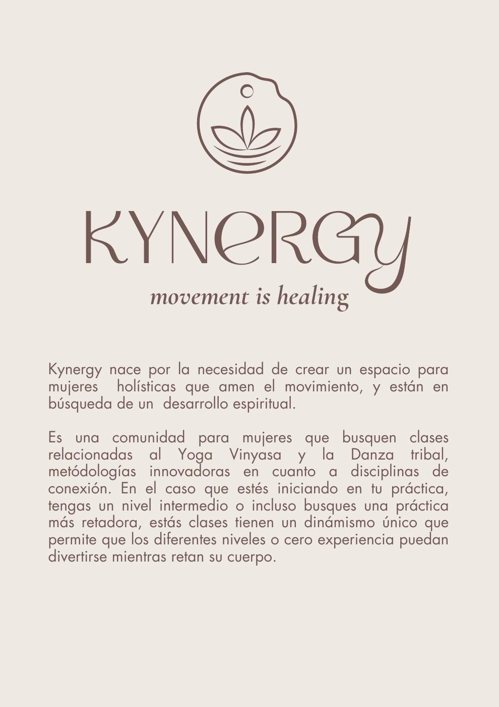 Kynergy Studio | PDF to Flipbook
