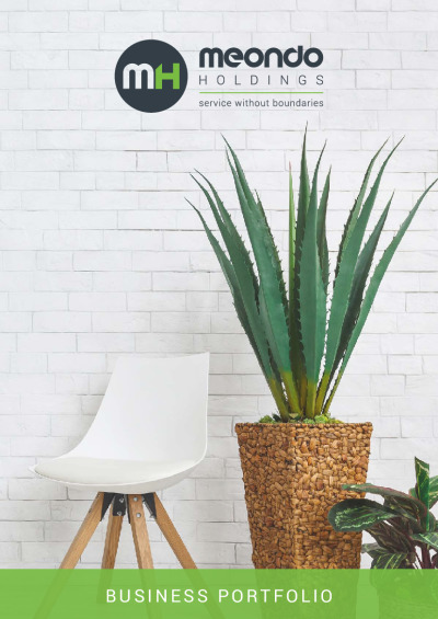 Meondo Holdings Portfolio