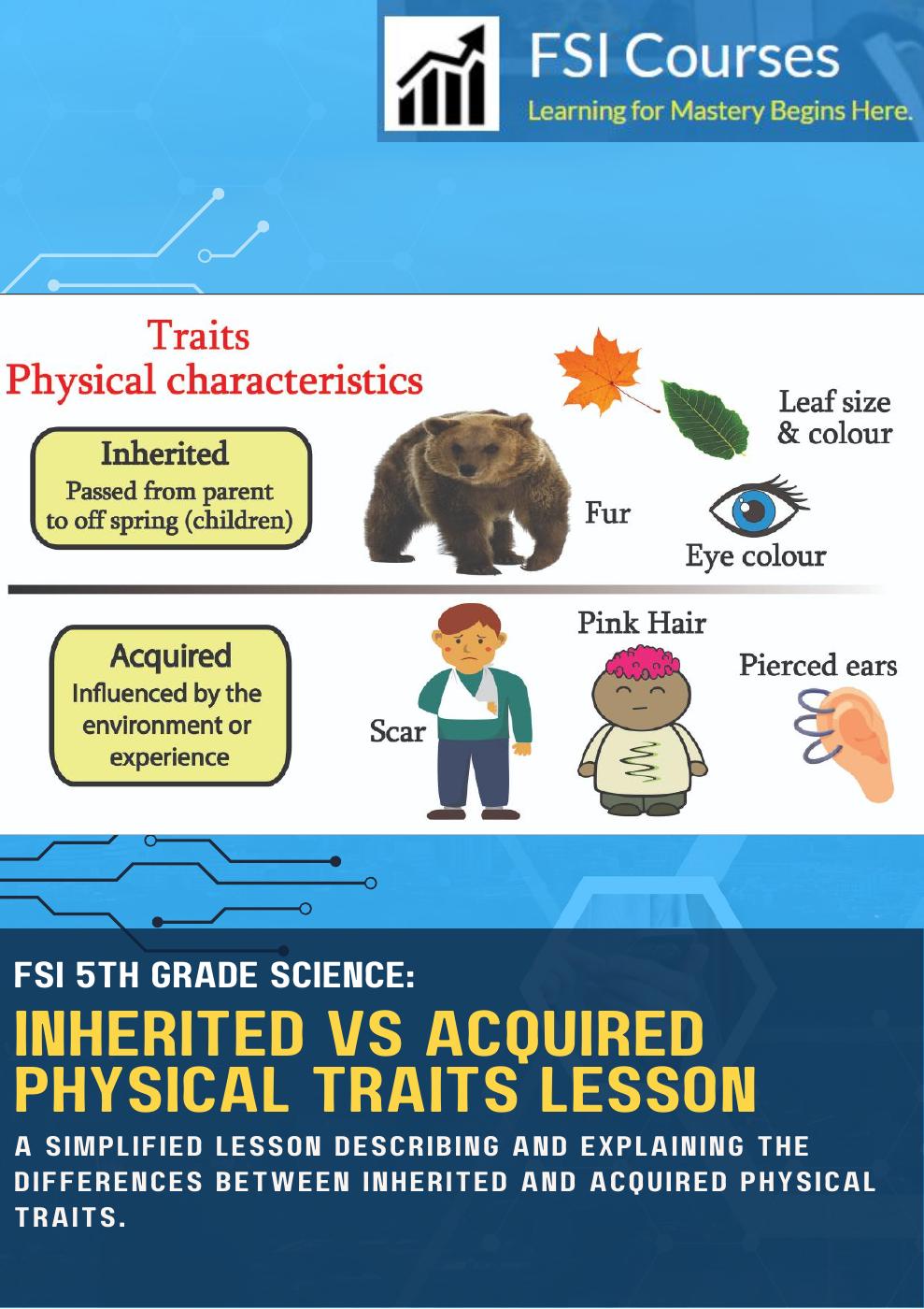 Inherited vs. Acquired Physical Traits Lesson